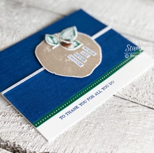 Textured Cardstock | Stampin Up Subtle Embossing Folder - I Teach Stamping