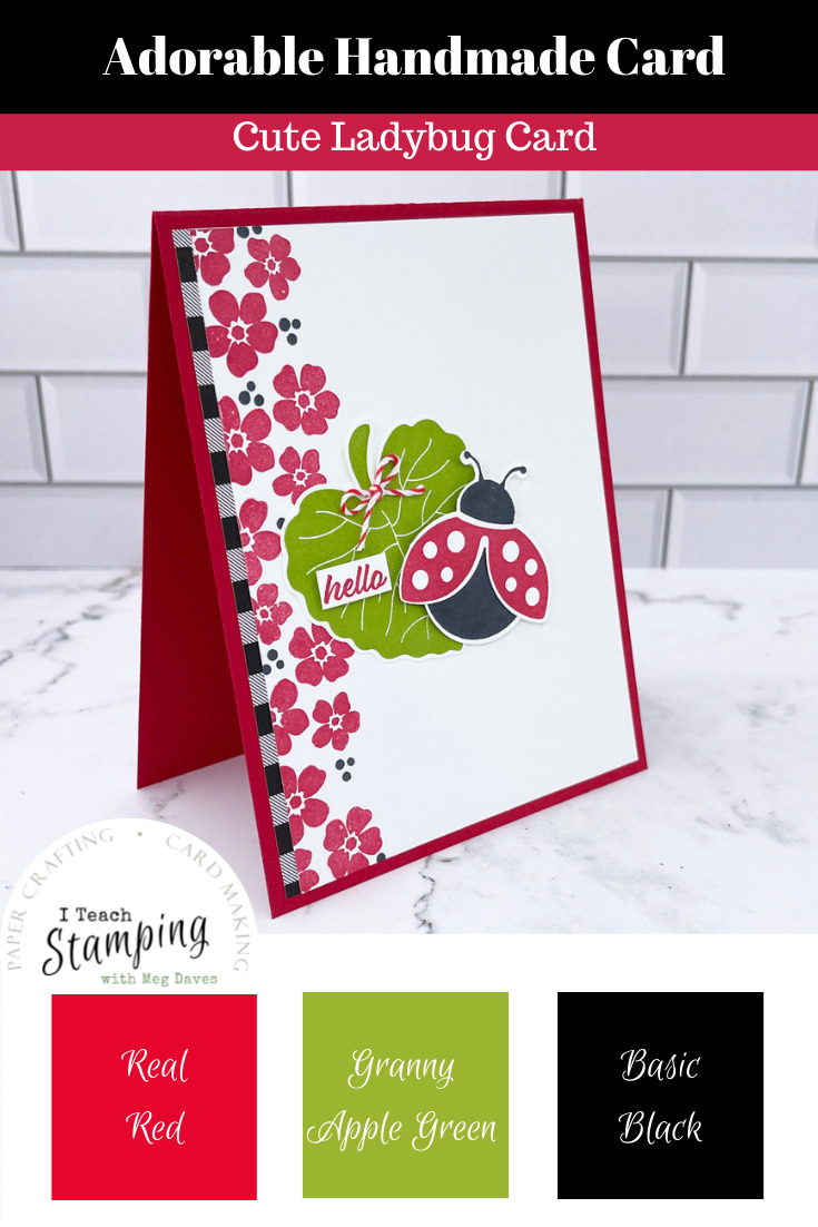 SUPER Cute Stampin' Up! Hello Ladybug Card - I Teach Stamping